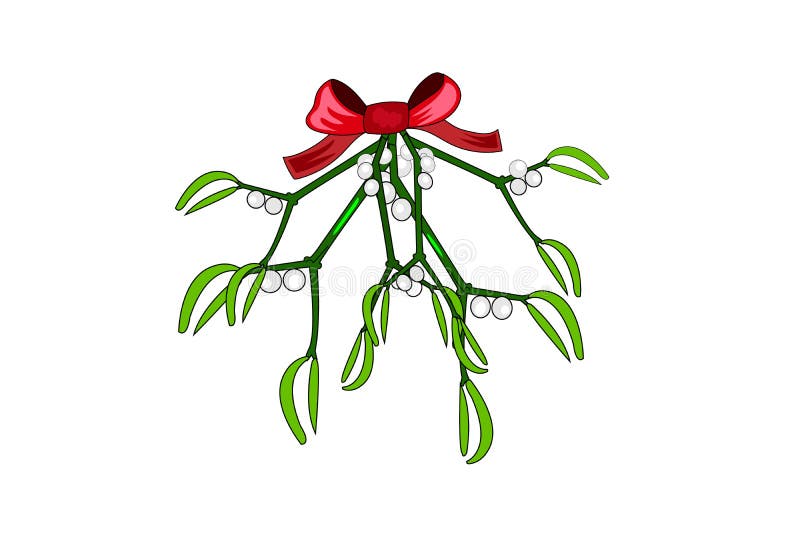 Mistletoe Vector Illustration Stock Vector - Illustration of pattern ...