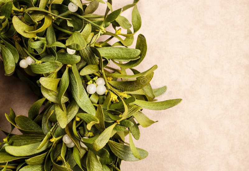 Mistletoe Wreath, Copy Space Stock Image - Image of arrangement, leaf ...