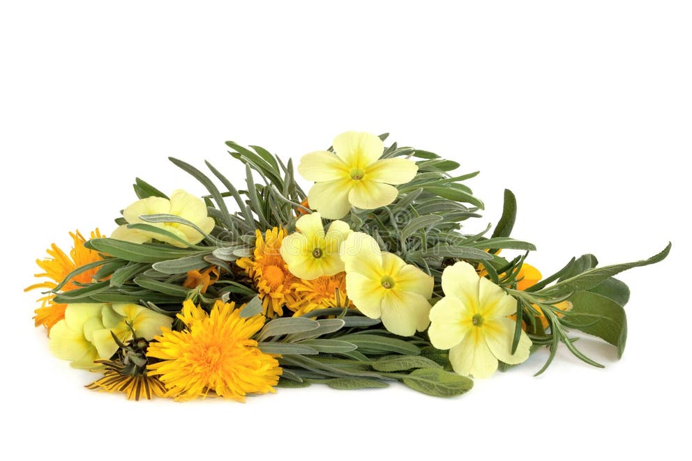 Mistura Da Folha E Do Wildflower Da Erva Imagem de Stock - Imagem de ...