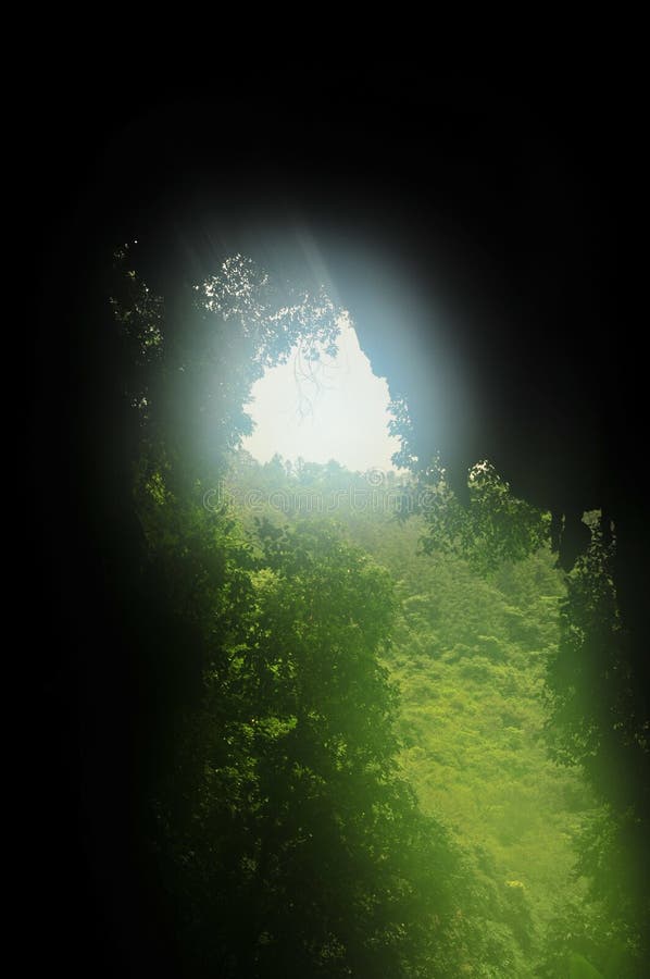 Misty stock image. Image of misty, light, plants, mountain - 26078279