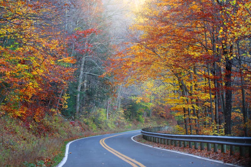 Misty autumn drive stock photo. Image of outdoor, peaceful - 44254954