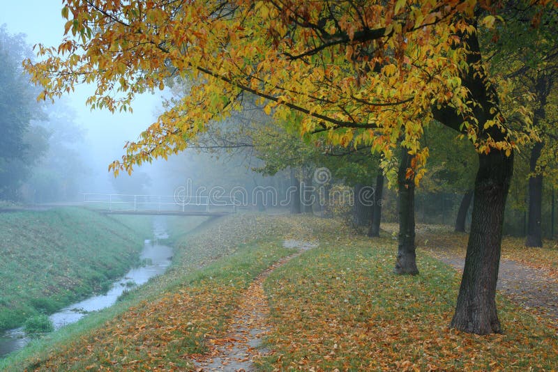 Park in the misty fall day stock photo. Image of foggy - 12471134