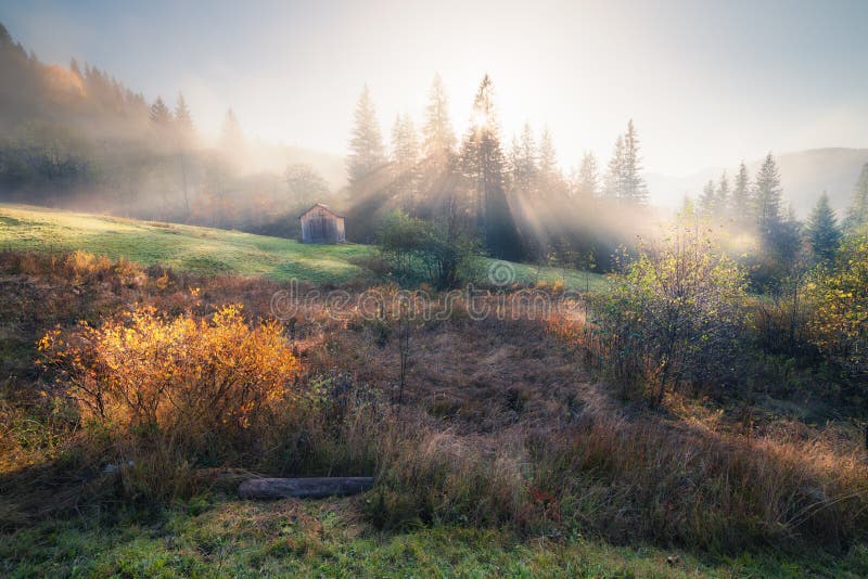 Misty autumn morning stock photo. Image of sunny, carpathian - 54872578