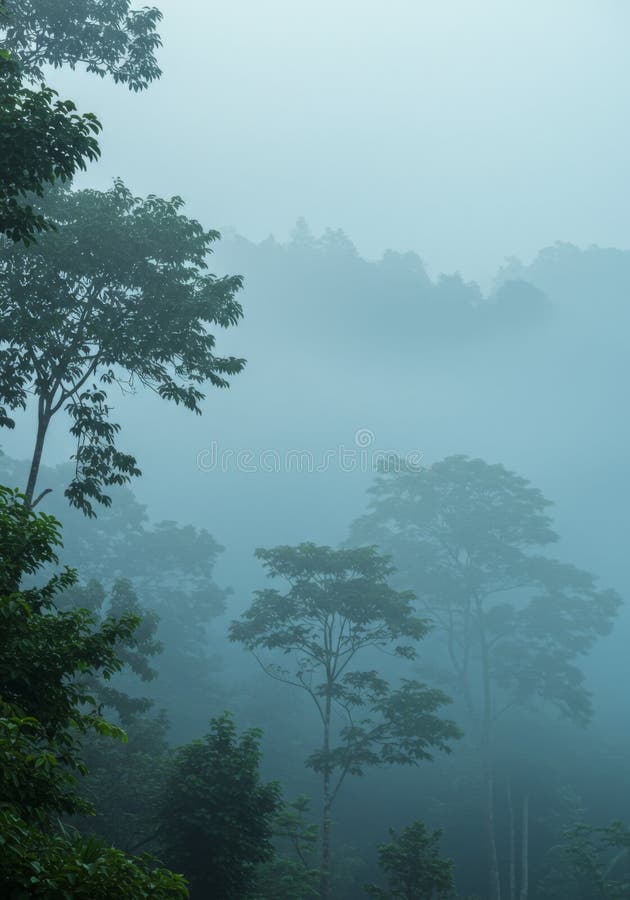 Misty Blue Forest Landscape Stock Photo - Image of atmosphere, calm: 381484590