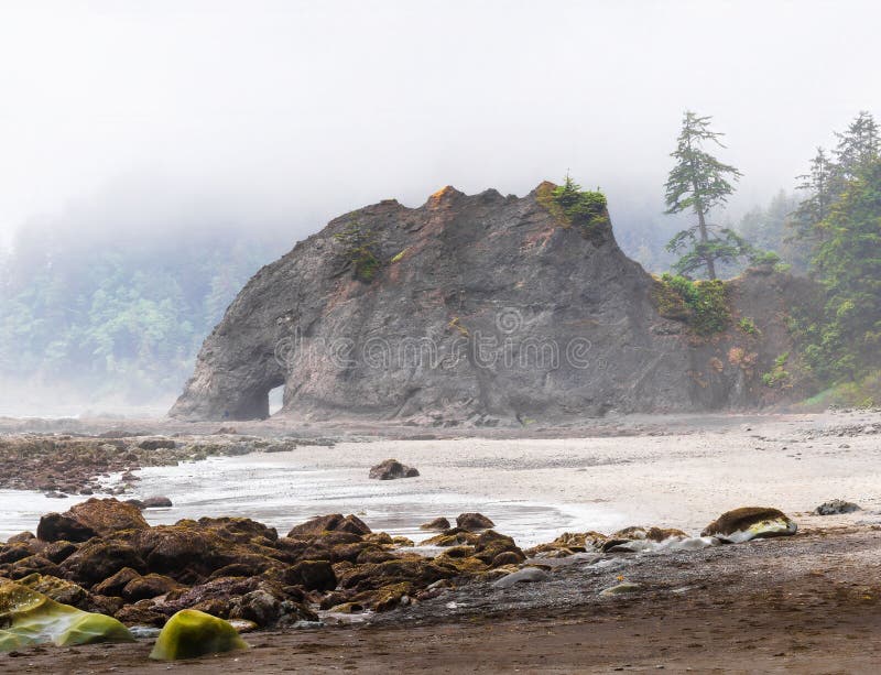 Misty Coastal Landscape at Ruby Beach Stock Photo - Image of pacific ...