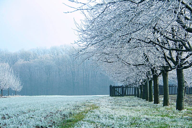 Misty and cold morning stock image. Image of background - 2788995