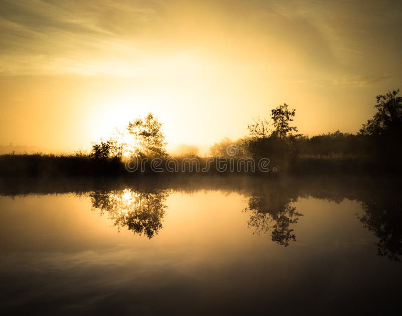 Misty Dawn Over the River. the Sun S Rays from Behind a Tree Stock ...