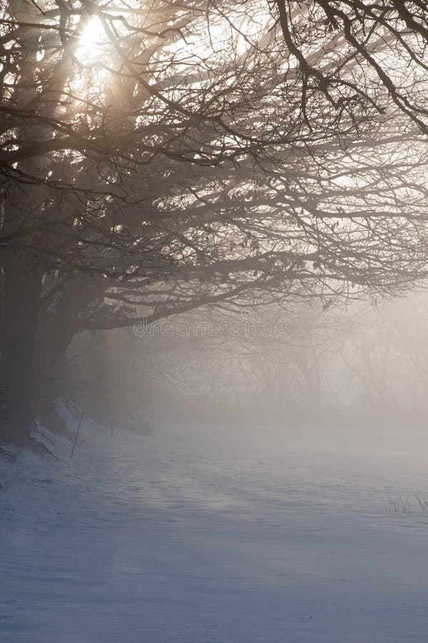 Misty Dawn Over Snowy Field Stock Photo - Image of natural, landscape ...