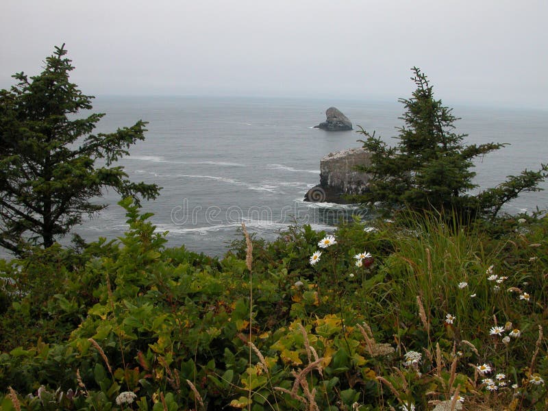 Misty Day on the Oregon Coast Stock Image - Image of waves, coast: 45132285