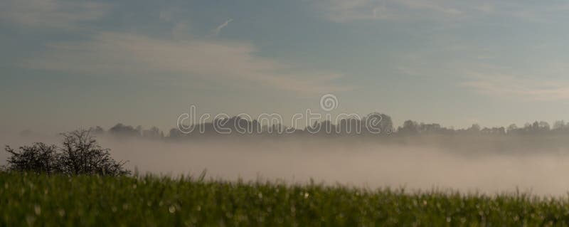 Misty dew stock photo. Image of nature, water, drops - 39056496