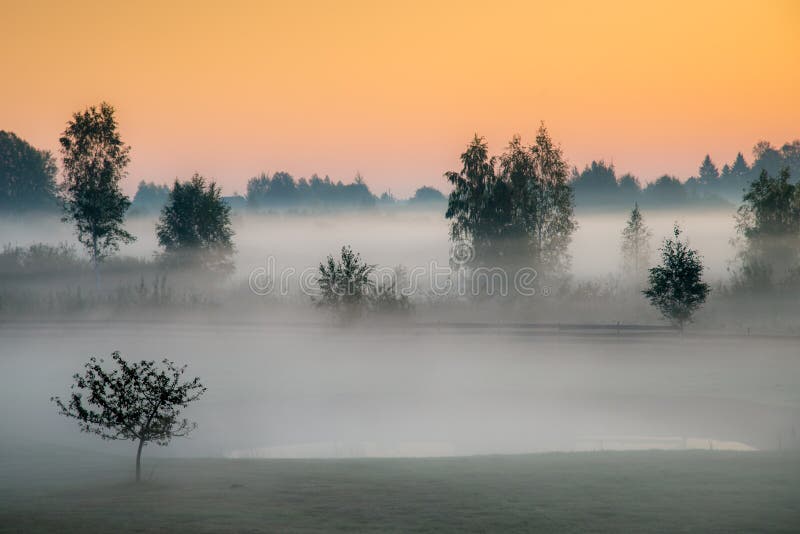 Misty Fall Landscape at Sunrise Stock Photo - Image of environment ...