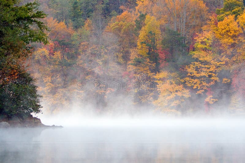 Foggy Fall Morning stock image. Image of spooky, limb - 1392455