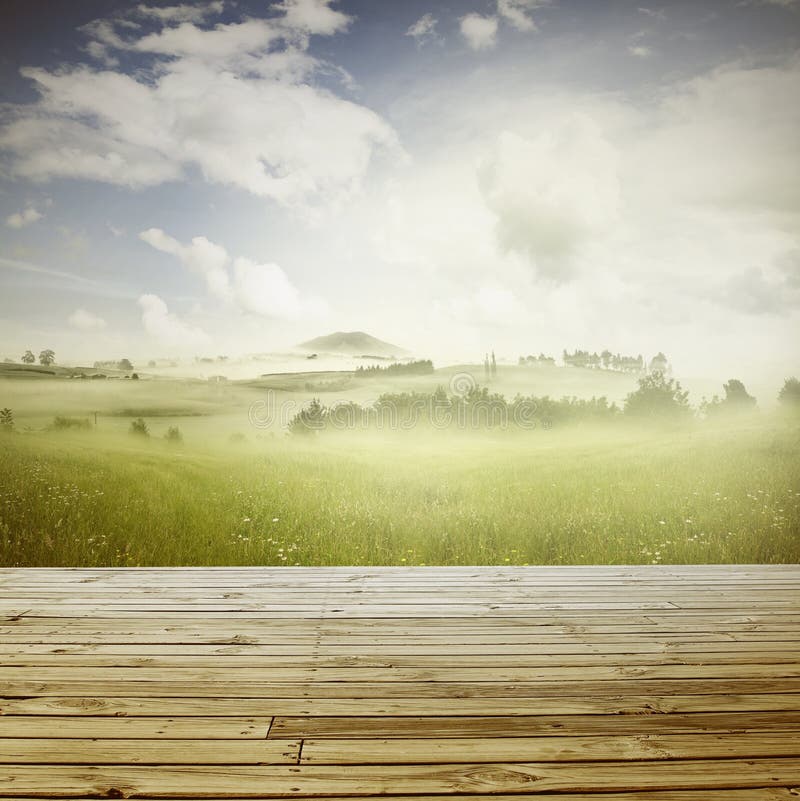 Misty field stock photo. Image of outdoor, morning, countryside - 53527450
