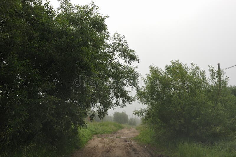 Misty field stock image. Image of natural, blue, outdoor - 96832645