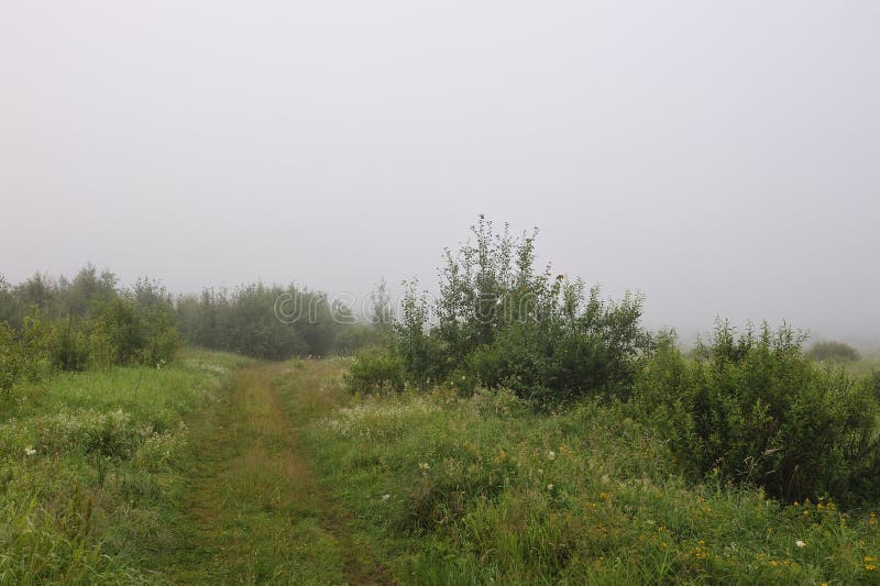 Misty field stock image. Image of summer, cloud, lake - 96833113