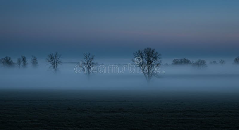 Misty Field with Silhouetted Trees at Dawn Stock Illustration ...