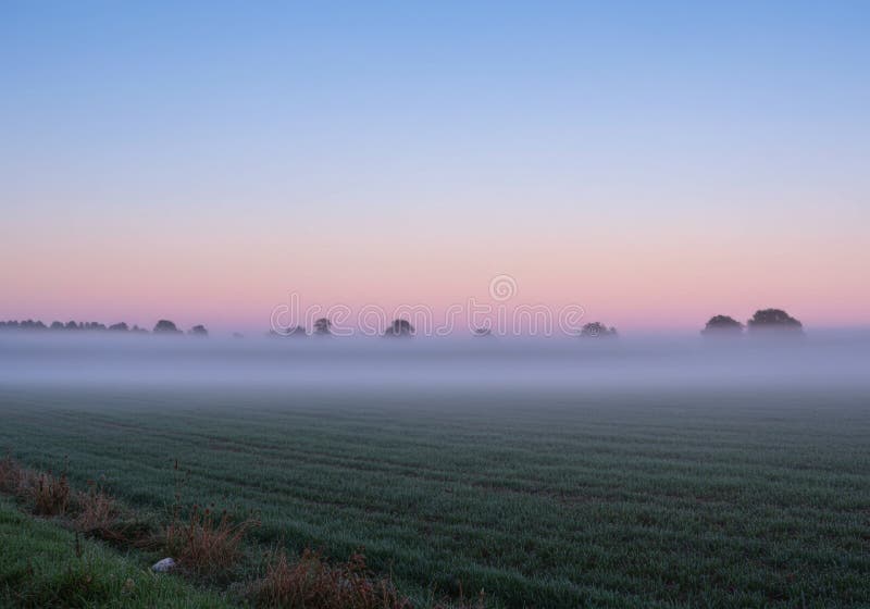 Misty Field at Sunrise Pastel Colors Soft Light Stock Illustration ...
