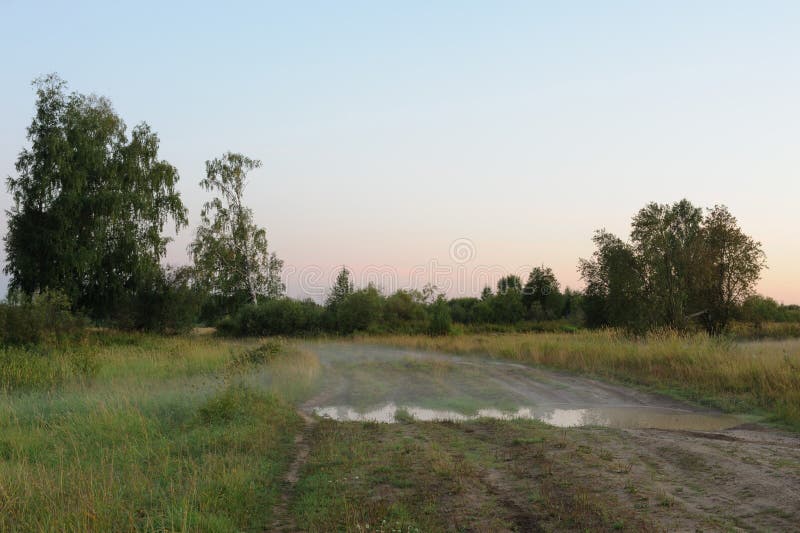 Misty field stock photo. Image of field, magic, misty - 57677054