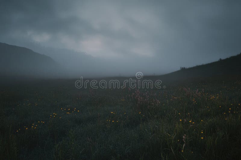 Misty Fields stock image. Image of twilight, nature - 359882215