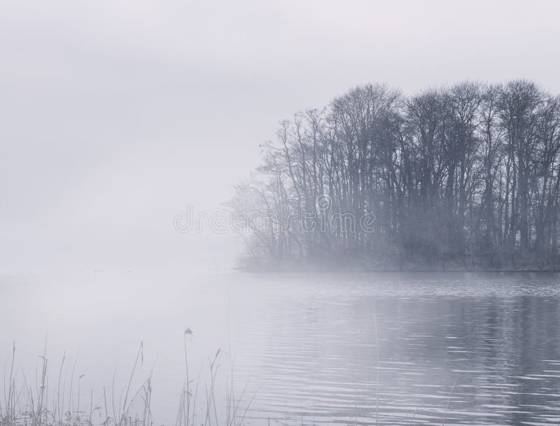 Misty stock image. Image of island, river, forest, park - 92943079