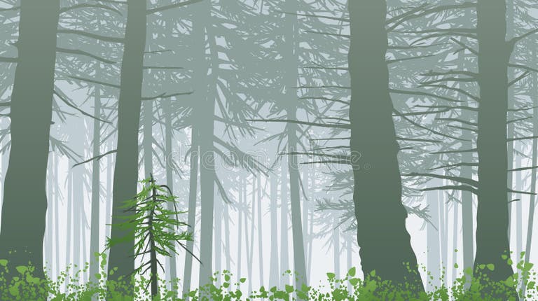 Misty Rainforest Branch Stock Illustrations – 1,766 Misty Rainforest ...