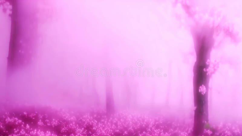 A Misty Forest with Blooming Cherry Blossom Trees Creating a Dreamlike ...