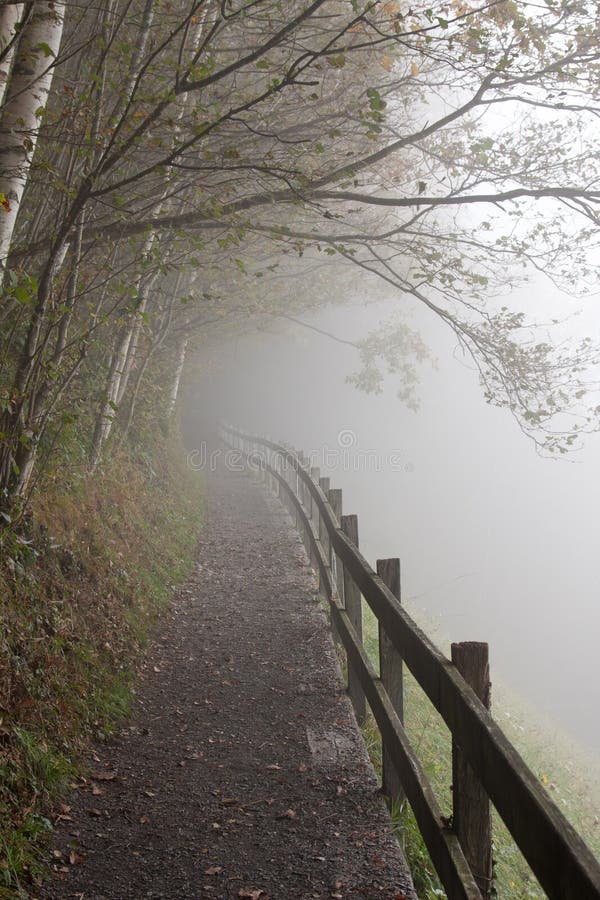 Misty forest path stock image. Image of hill, spiritual - 17681649