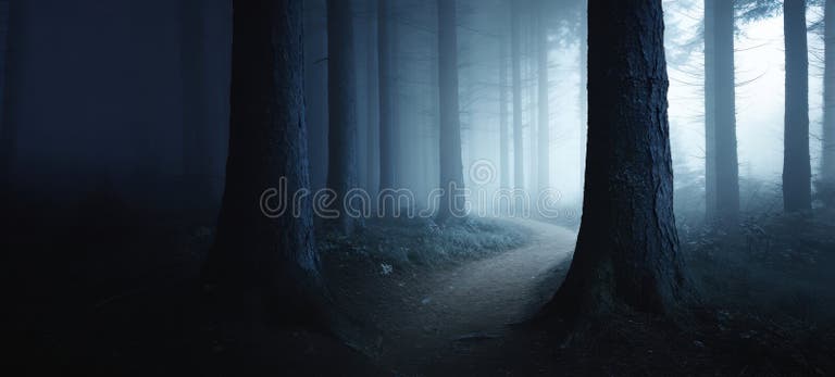 The Misty Forest Path Leading through Tall, Shadowy Trees at Twilight ...