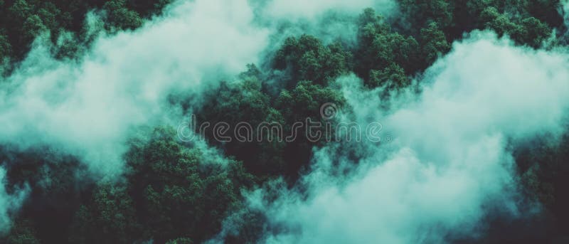 Misty Forest Pattern Texture with Cinematic Hues from a Top View ...