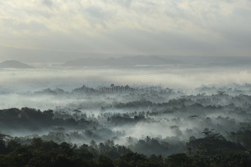 Misty Forest Seen from Top at Morning, Java Stock Photo - Image of ...