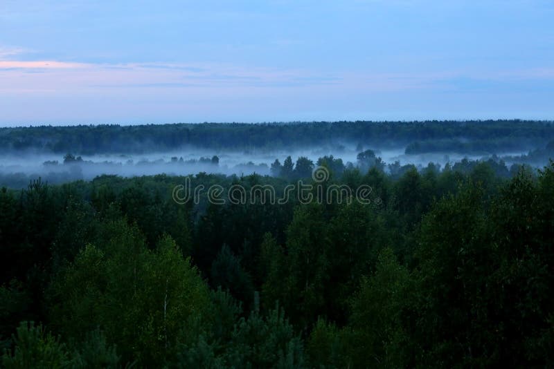 Mist after the rain stock photo. Image of pink, clouds - 124489474