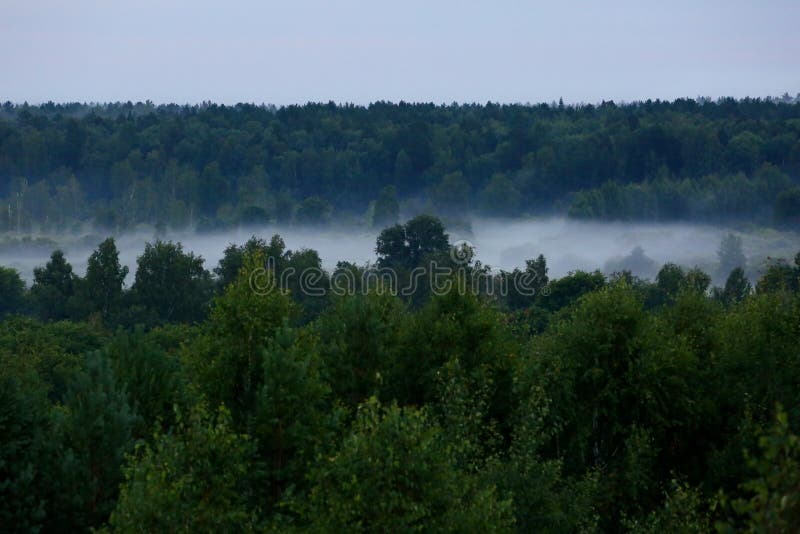 Mist after the rain stock image. Image of foggy, crepuscle - 124489603