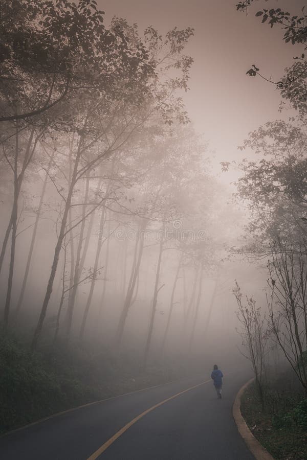 The Misty Forest Surrounded by the Dense Fog in Yunnan, China Editorial ...
