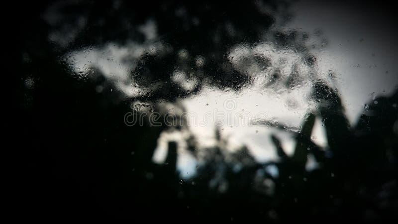 Misty Glass stock photo. Image of macro, jump, rook, glass - 44155222