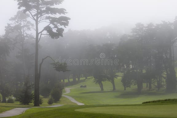 635 Golf Gate Com Stock Photos - Free & Royalty-Free Stock Photos from ...