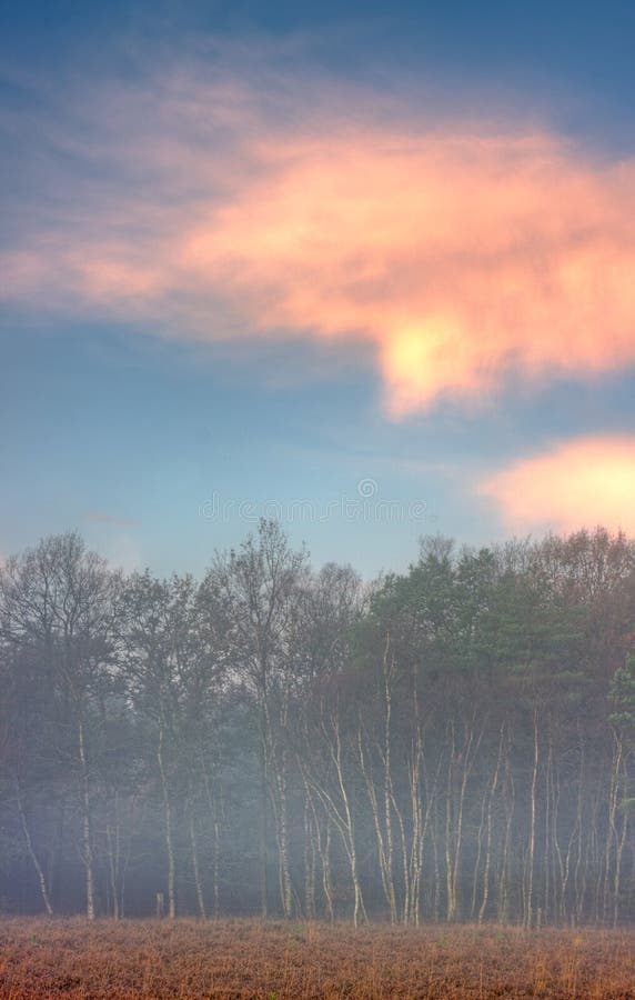 Misty heath at sunrise stock photo. Image of landscape - 22103136