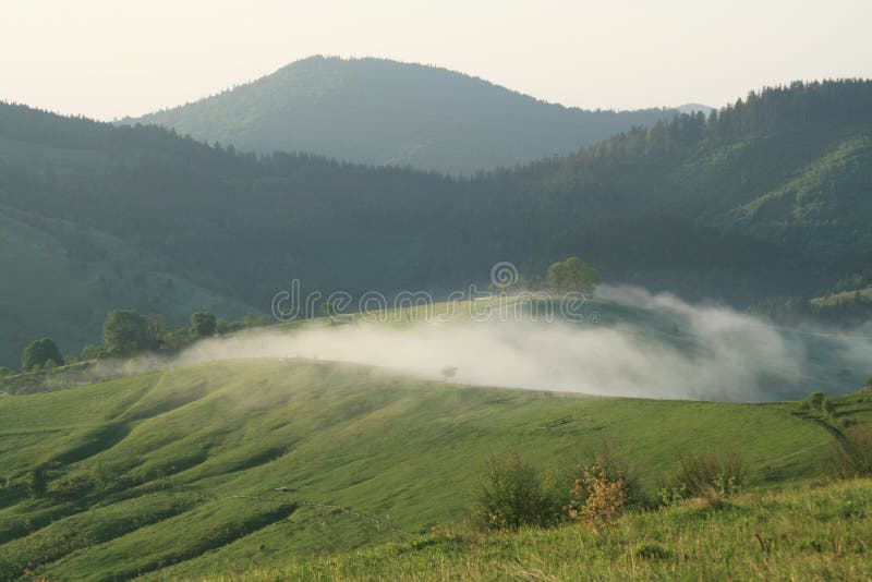 Misty hills stock photo. Image of hills, forest, mist - 16149968