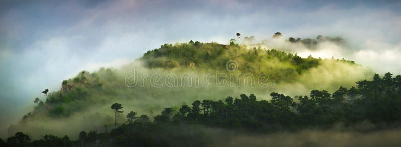 Misty hills stock photo. Image of forest, fairy, foggy - 41617940