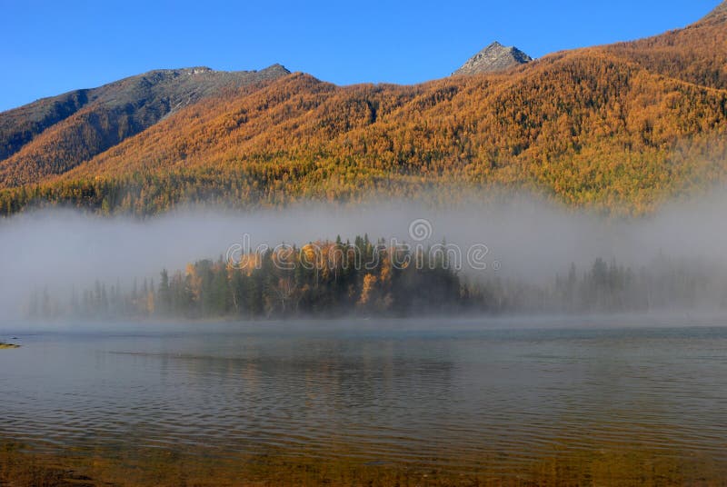 Misty lake stock photo. Image of surface, scenic, nature - 11744878