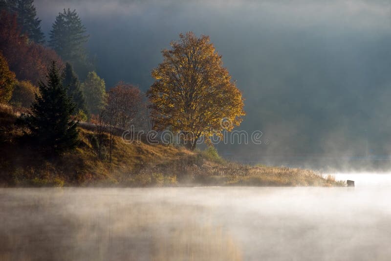 Misty lake stock image. Image of nature, natural, early - 6723893