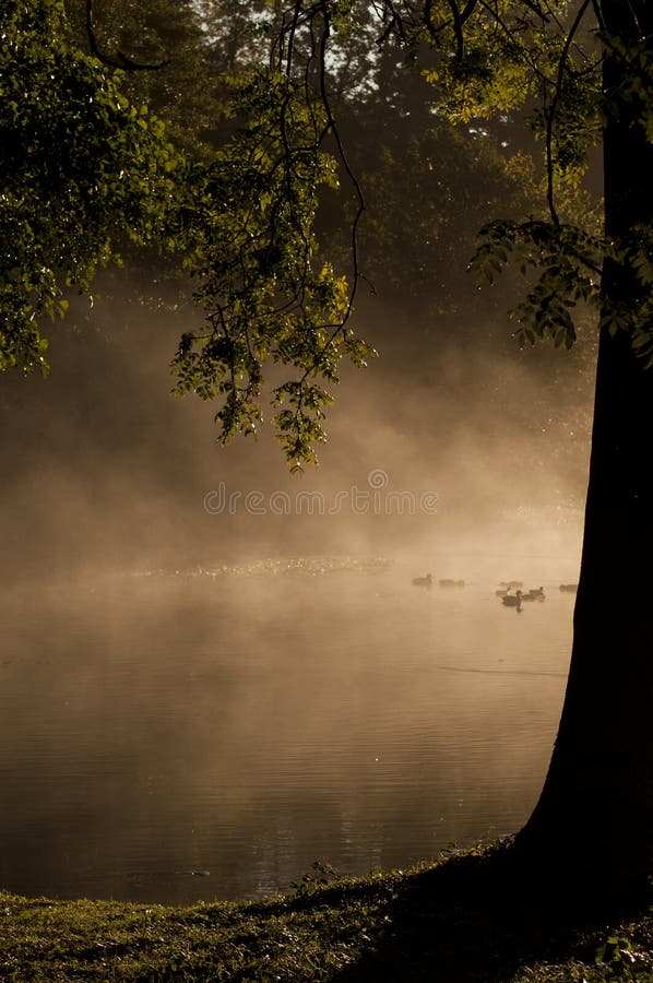 Misty Lake in Autumn stock photo. Image of leaf, tree - 27170340