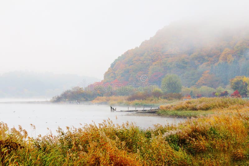 Misty lake in autumn stock photo. Image of japanese, plant - 37993086