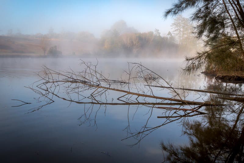 Misty Lake stock image. Image of wales, trees, lake, misty - 43530997