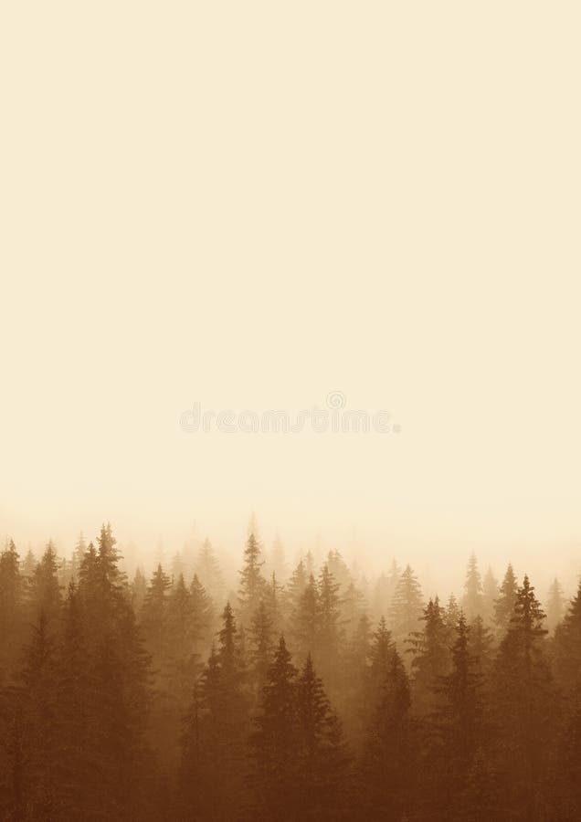 Misty Landscape with Fir Forest in Retro Style Stock Photo - Image of ...