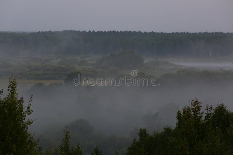 Mist after the rain stock image. Image of trees, crepuscle - 155627445