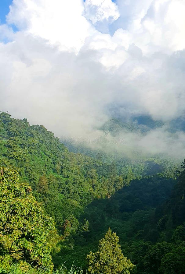 Misty Green Hill in Lawu Mountain, Magetan, East Java Stock Photo ...