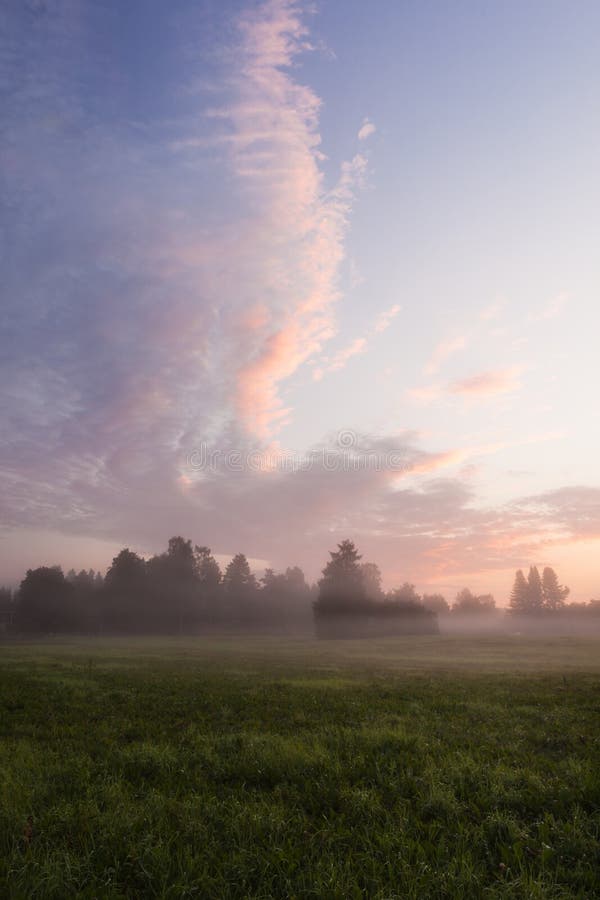 Misty meadow at dawn stock photo. Image of nordic, foggy - 62078082