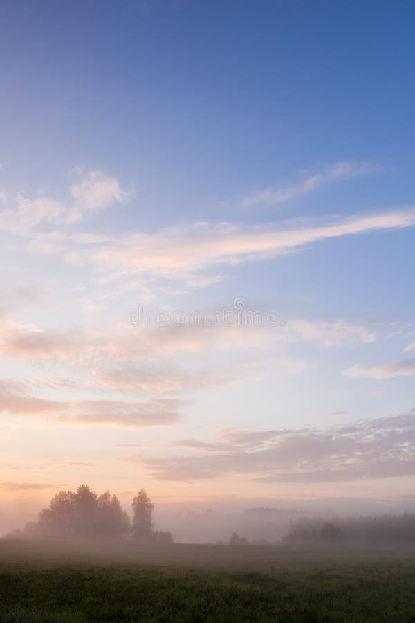 Misty meadow at dawn stock photo. Image of landscape - 97712344