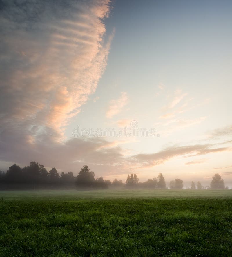 Misty meadow at dawn stock image. Image of atmosphere - 62083179