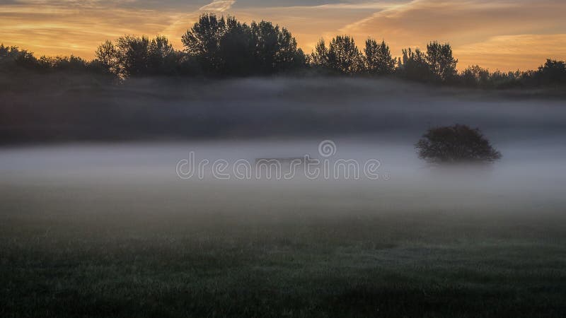 Misty Meadow during Early Morning Stock Image - Image of sunset ...
